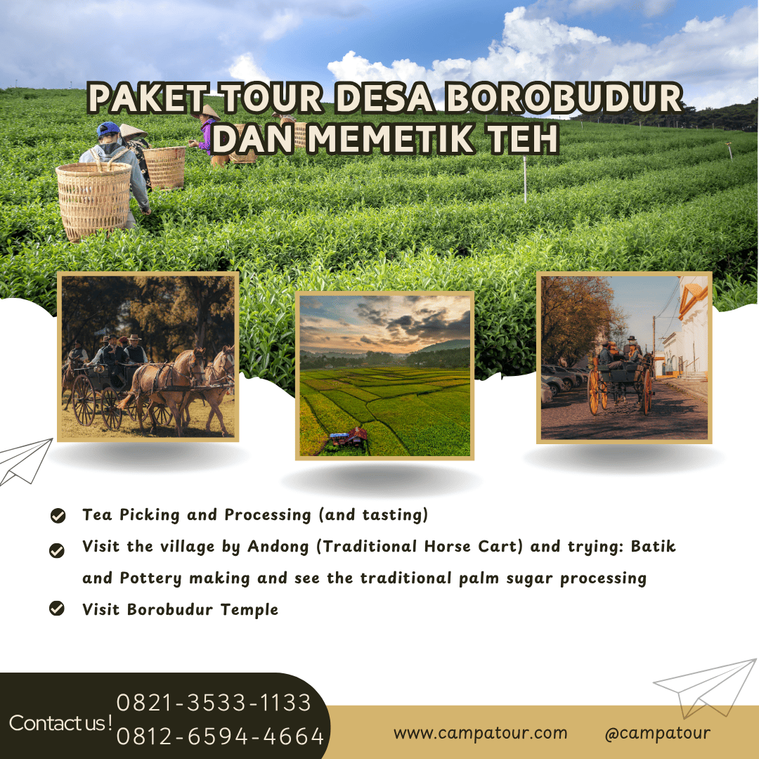 Paket Tour Desa Borobudur dan Memetik Teh - Campa Tour and Event
