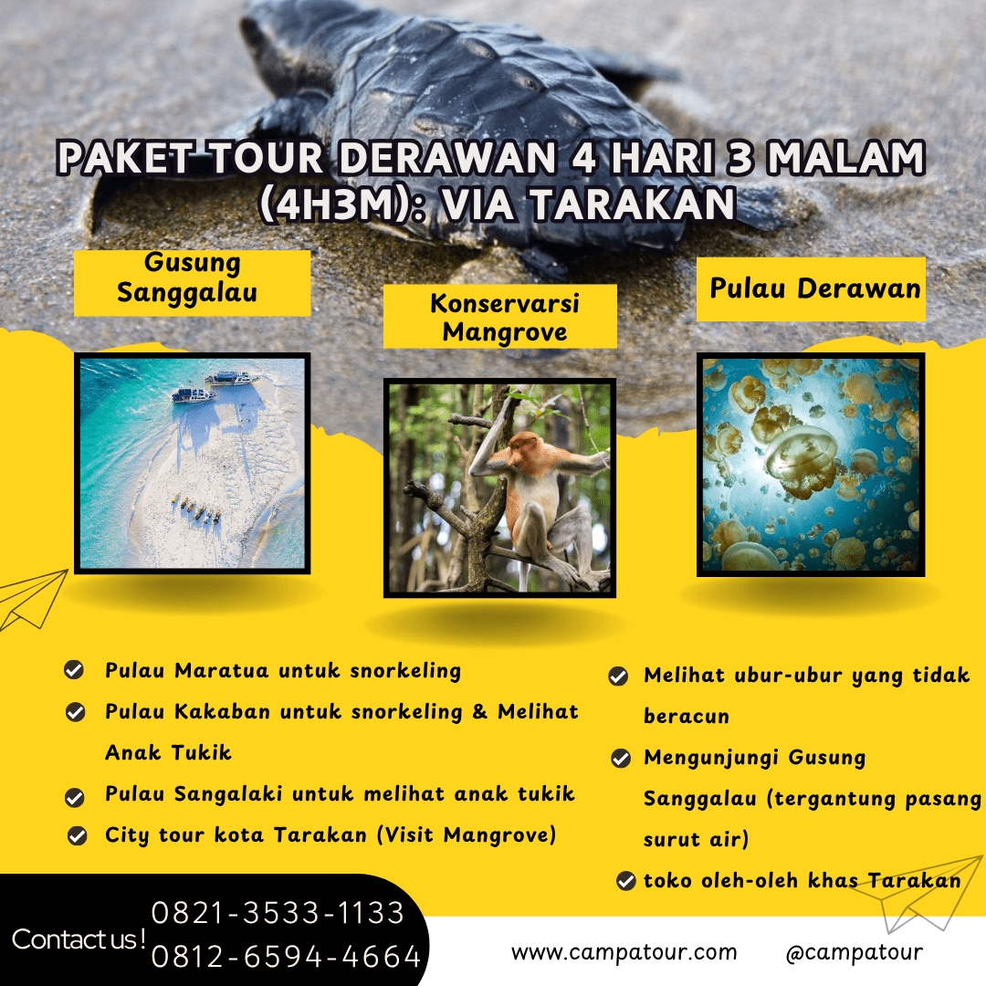 Paket Tour Derawan 4 Hari 3 Malam (4H3M): Via Tarakan - Campa Tour and ...