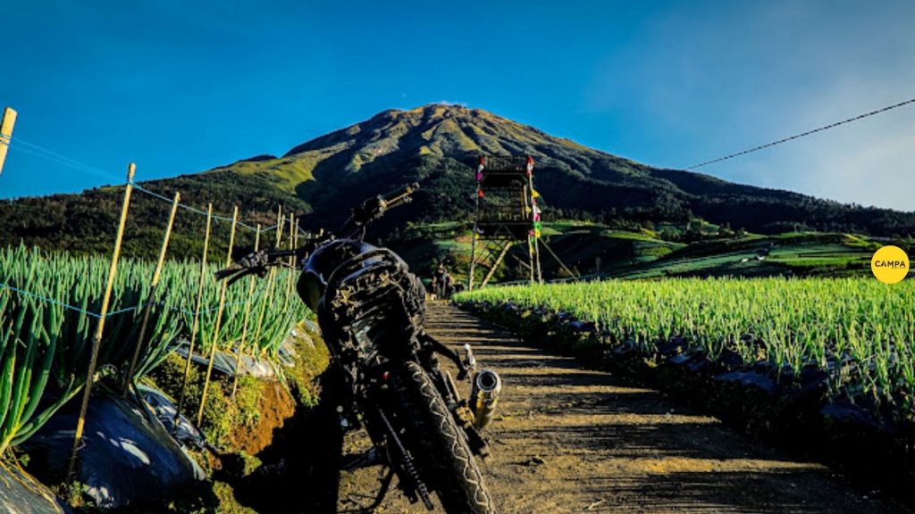 Desa Sukomakmur : Wisata Terasering dan Negeri Sayur di Magelang ...