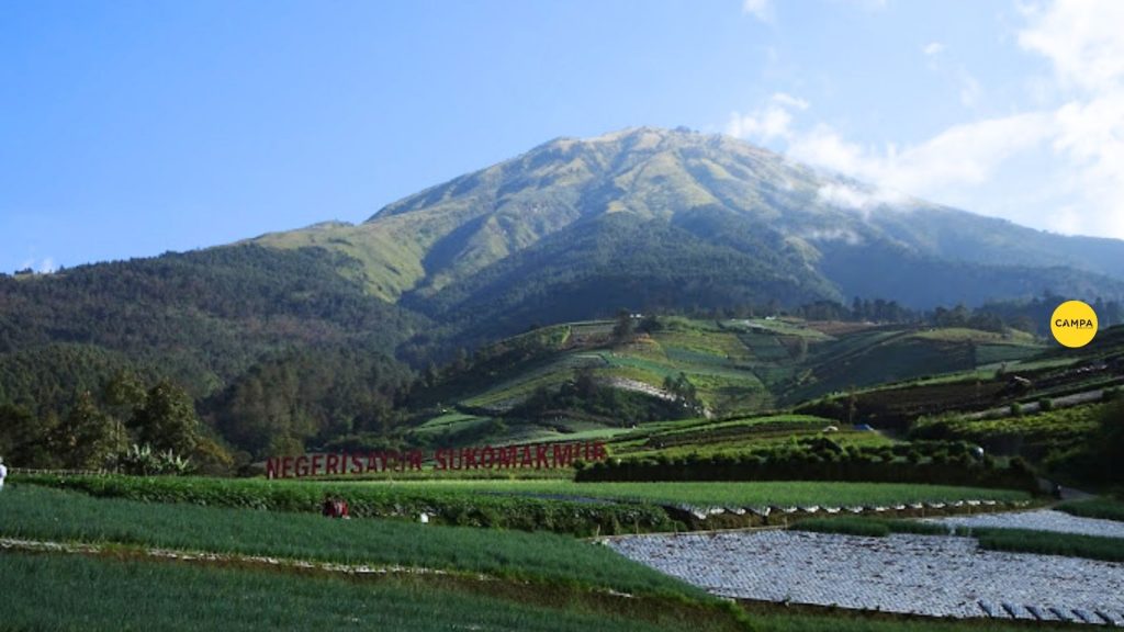 Desa Sukomakmur : Wisata Terasering dan Negeri Sayur di Magelang ...