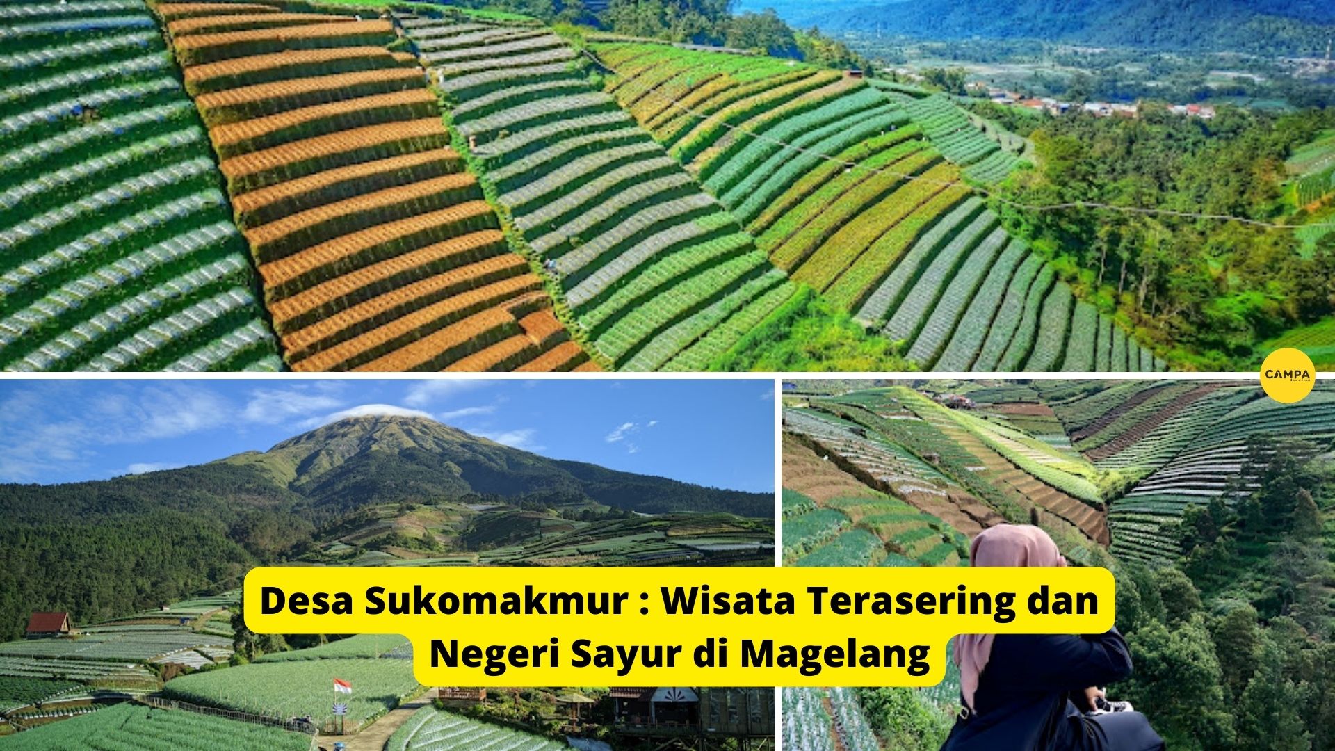 Desa Sukomakmur : Wisata Terasering dan Negeri Sayur di Magelang ...