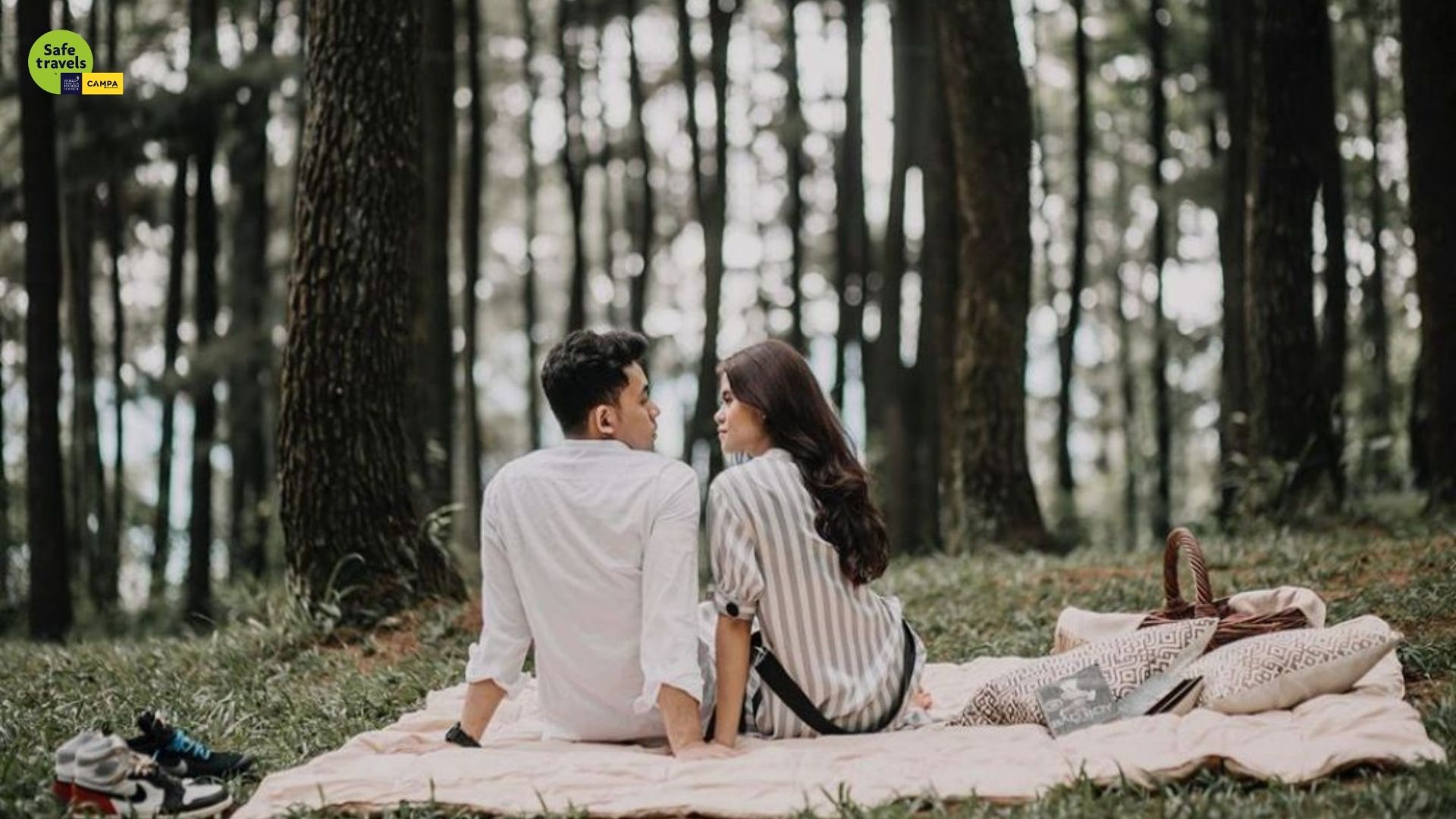 Pesona Alam di Hutan Pinus Sentul: 5 Alasan untuk Mengunjunginya ...