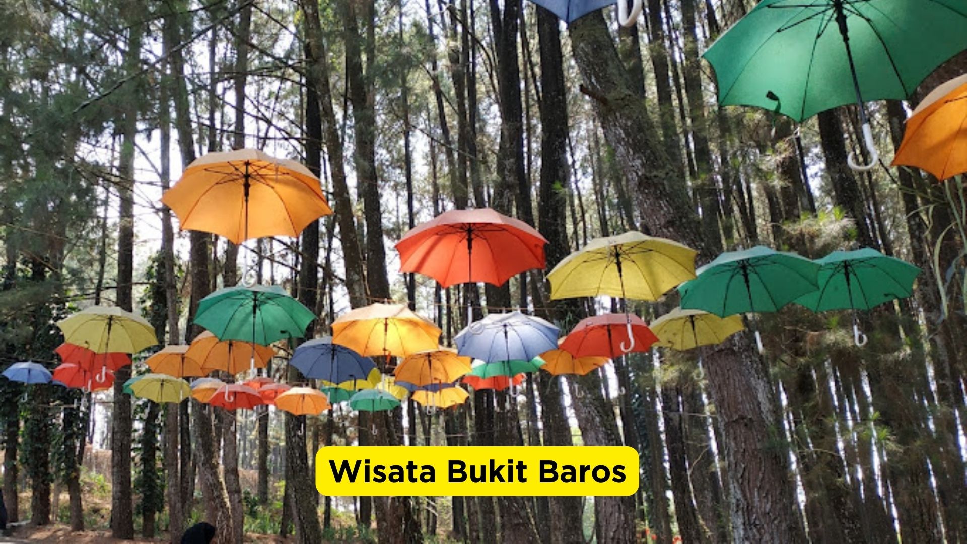Rekomendasi Wisata Sukabumi Ramah Anak - Campa Tour and Event